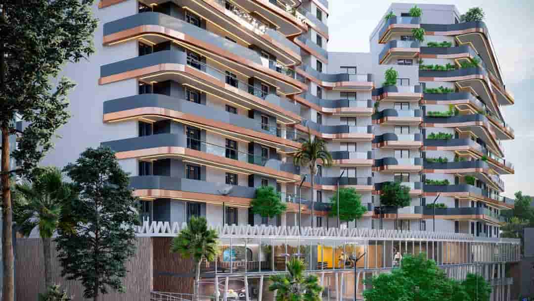 Les meilleurs quartiers d’Alger pour vivre